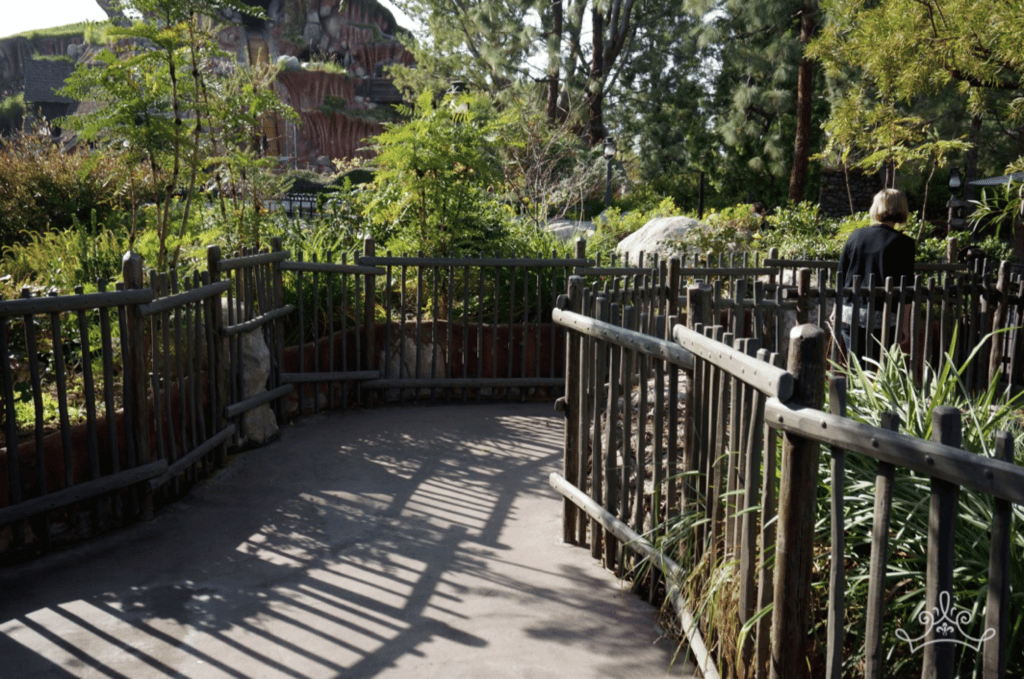 Hidden Path To Critter Country - Duchess of Disneyland
