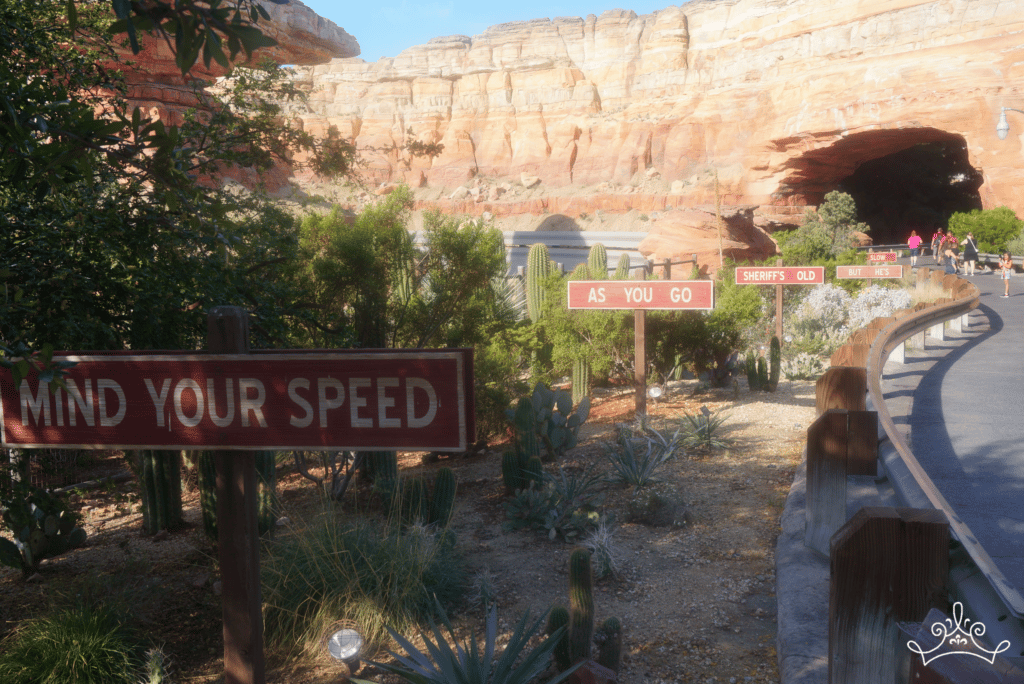 Cars Land Road Signs - Duchess of Disneyland